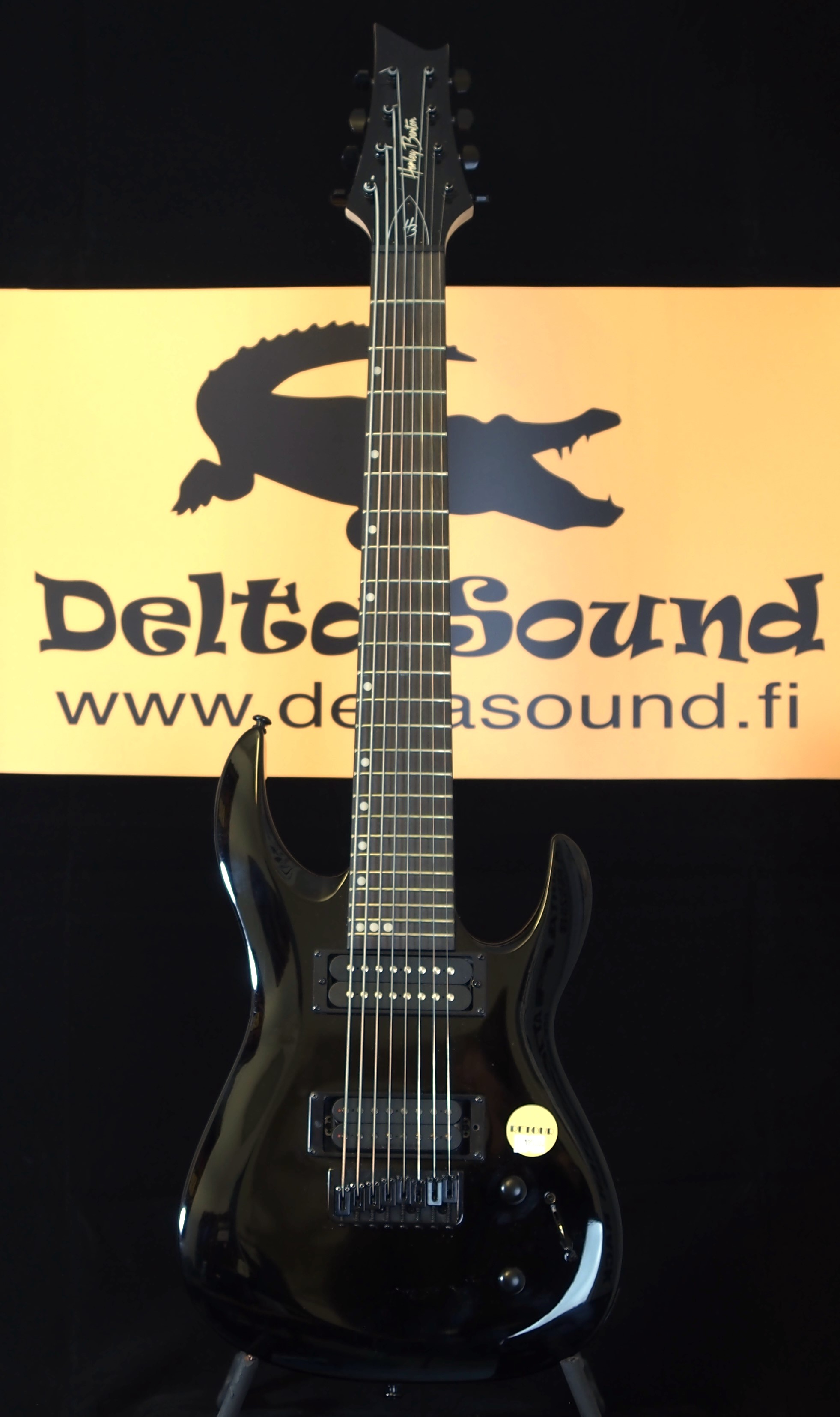 Kitarat ja bassot | Delta Sound