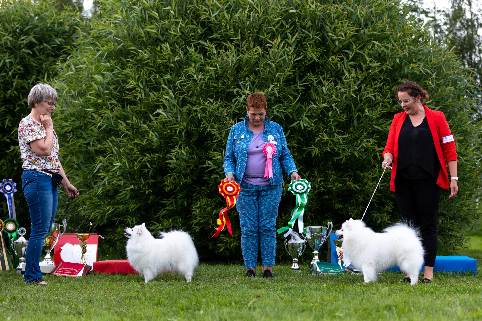 erkkari2023 | Suomen Japaninpystykorvayhdistys