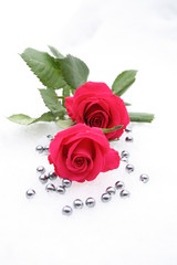 Taulukuvat | katrisomerjoki