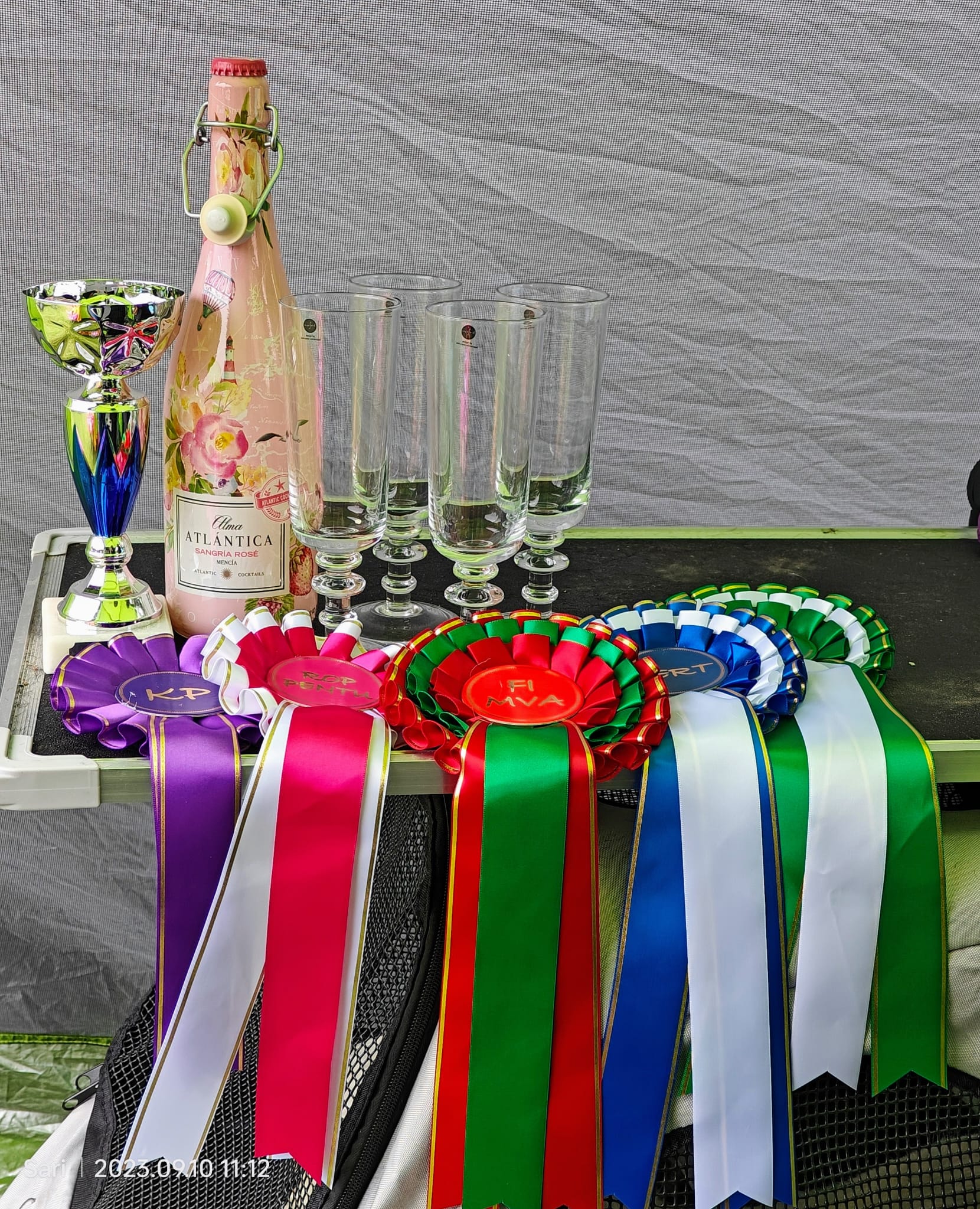 Uutiset | Kennel Frozen Flash