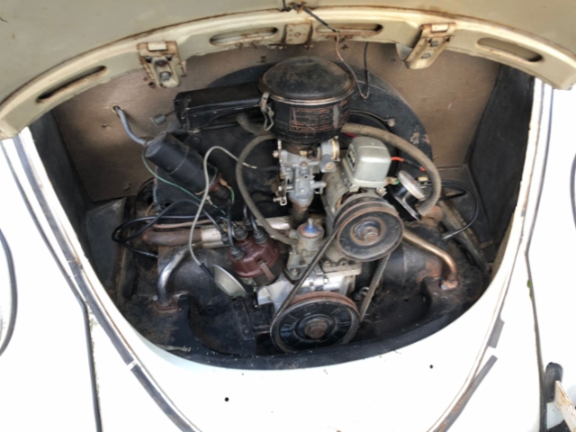 VW 1200 1961 | NeoRetro