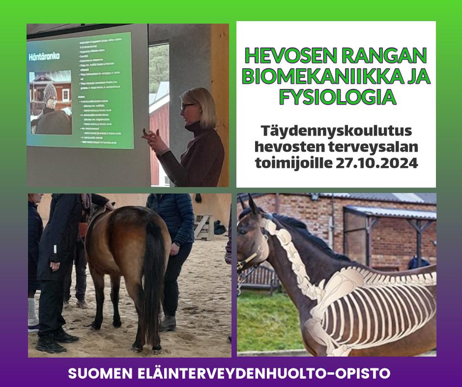 Hevosen rangan biomekaniikka ja fysiologia | SETO