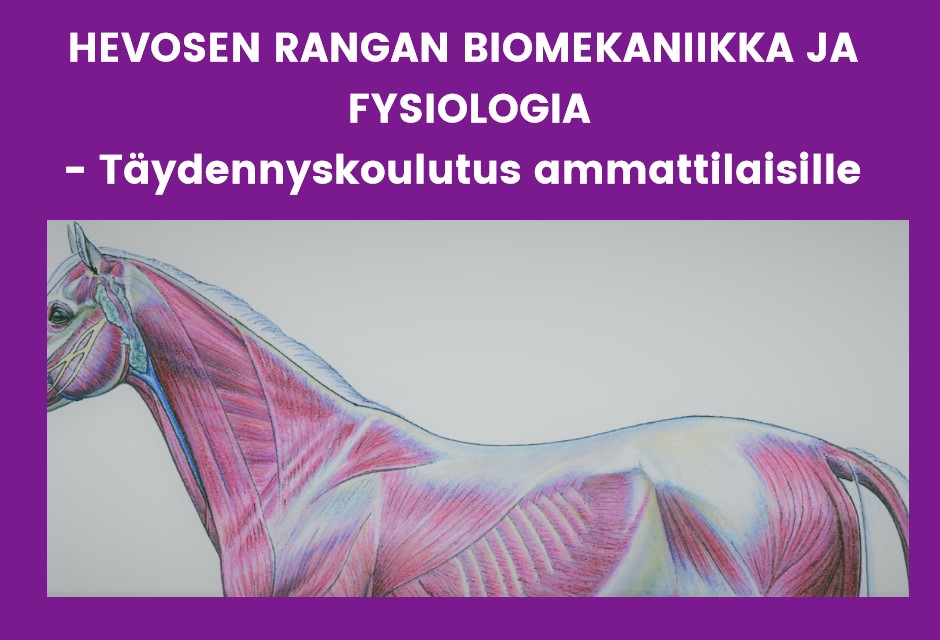 Hevosen rangan biomekaniikka ja fysiologia | SETO
