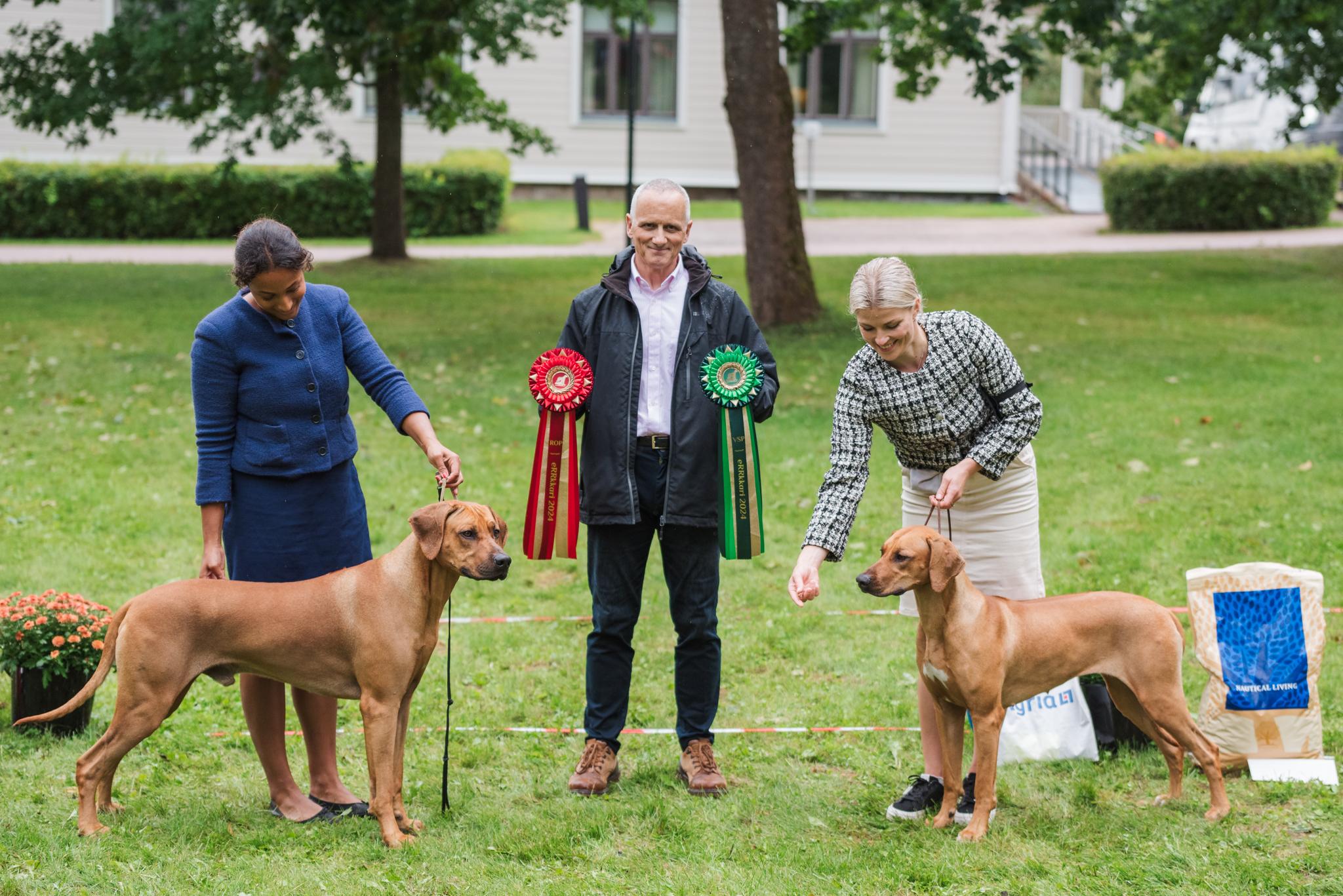 eRRkkari 2025 | Rhodesiankoira - Rhodesian Ridgeback
