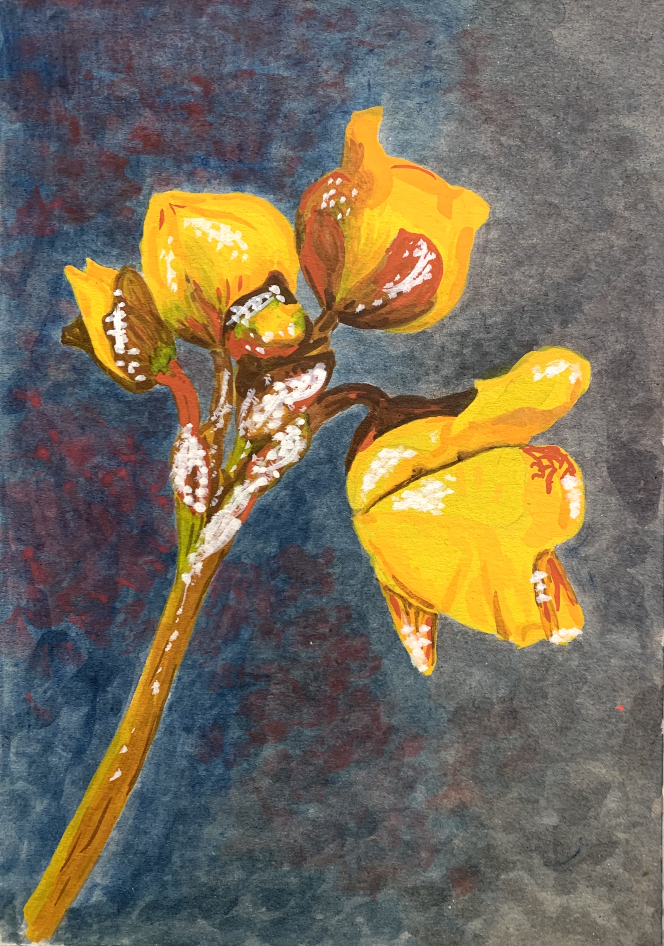 Kuvataide | Taiteilijan tytär